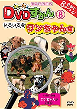 わくわくDVDずかん(8)いろいろなワンちゃん編【メーカー名】ビデオメーカー【メーカー型番】【ブランド名】Psg【商品説明】わくわくDVDずかん(8)いろいろなワンちゃん編この度はご来店誠に有難うございます！当店では初期不良に限り、商品到着...
