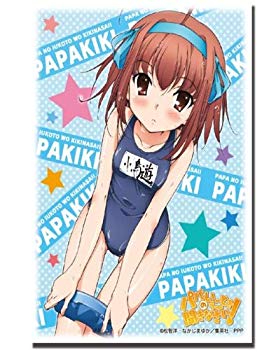 未使用、未開封品ですが弊社で一般の方から買取しました中古品です。一点物で売り切れ終了です。ブシロードスリーブコレクションHG (ハイグレード) Vol.265 パパのいうことを聞きなさい! 『小鳥遊 空』【メーカー名】ブシロード(BUSHI...