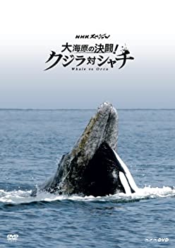 【中古】NHKスペシャル 大海原の決闘! クジラ対シャチ [Blu-ray]【ジャンル】ドキュメンタリー, ホビー・実用【Brand】【Contributors】【商品説明】NHKスペシャル 大海原の決闘! クジラ対シャチ [Blu-ray...