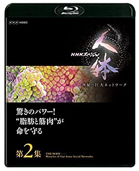 【中古】NHKスペシャル 人体 神秘の巨大ネットワーク 第2集 驚きのパワー! 脂肪と筋肉が命を守る [Blu-ray]【ジャンル】ドキュメンタリー【Brand】【Contributors】川井憲次: Other; タモリ: Actor; ...