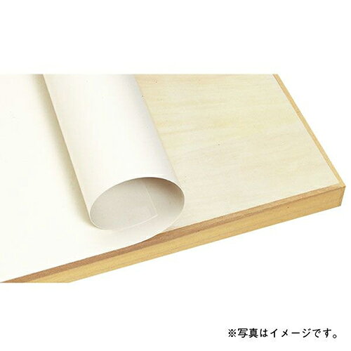 ※取寄せ品となる為メーカーに在庫があれば2週間程度でお届けいたします。メーカー欠品の場合はお待ちいただく場合もございます。※取寄せ品につき、お客様都合によるご注文後のキャンセルおよび返品はお受けできません。●入数：1枚●JANコード：495...