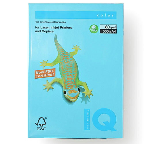 ●両面印刷ができる上質カラーペーパー。●入数：500枚●坪量：80g/m2●四六判換算：68.8kg●紙厚：0.103mm●対応プリンタ：熱転写，モノクロレーザー，カラーレーザー，インクジェット●JANコード：9003974402789※商...