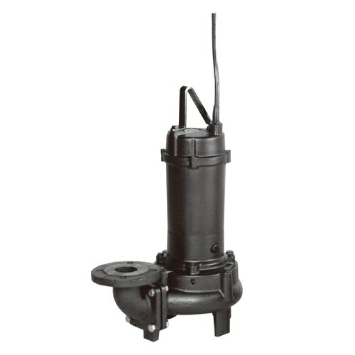 ※商品画像は代表画像です。詳細情報につきましてはご注文前にメーカーサイトやカタログ等をご確認ください。《仕様》●口径：50mm●相：三相●周波数：60Hz●出力：0.75kW●極数：4極●駆動方式：モータ駆動●運転方式：非自動形■用途●汚物...