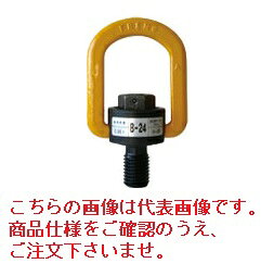 《仕様》●使用荷重：20.0t●ボルト径：M100●適正締付トルク 最小〜最大：196〜785Nm●質量：34.0kg●回転半径：280mm《特長》●JISアイボルトと同一ねじ径で、同等の強度があります。アイボルト用に加工されたねじ穴にご使...