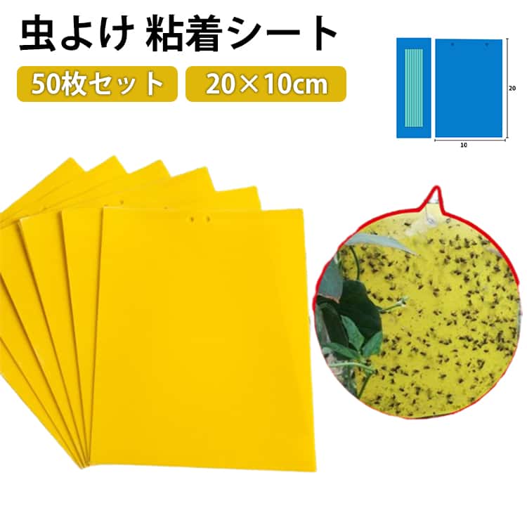 【50枚セット】捕虫シート。畑や植物周りにこの虫取りシートを置くだけで簡単に捕獲できる防虫シートです。農家の方々にもおすすめです。無農薬野菜、無農薬栽培をされている方にも。一度虫が粘着に貼りついたら逃げ出すことはできない防虫トラップです。ビ...