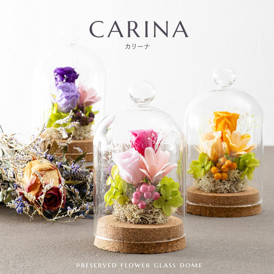 プリザーブドフラワー Carina カリーナ 【商品内容】 「カリーナ」とは、イタリア語で「可愛い」の意味。 フレッシュに花開いたローズをいきいきとしたままアレンジに。 自然なローズの表情はそのままでも美しさにあふれています。 ナチュラルエ...