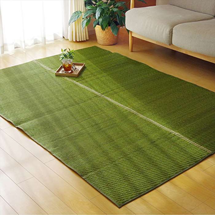 SEARCH WORD：い草ラグカーペット シンプルデザイン 191x250cm い草 イ草 いぐさ い草カーペット い草ラグ カーペット ラグ シンプル カラー 和室 部屋 室内 インテリア 新生活 引越 一人暮らし お部屋改造 DIY ...