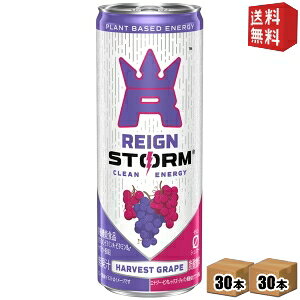 ■メーカー:アサヒ■賞味期限:（メーカー製造日より）24カ月■「レインストーム」は、6種のビタミンと亜鉛、植物由来のカフェインを使用し、ゼロカロリー・ゼロシュガーの新しいエナジードリンクです。ビタミンC、ビタミンA、ビタミンB6、ナイアシン...