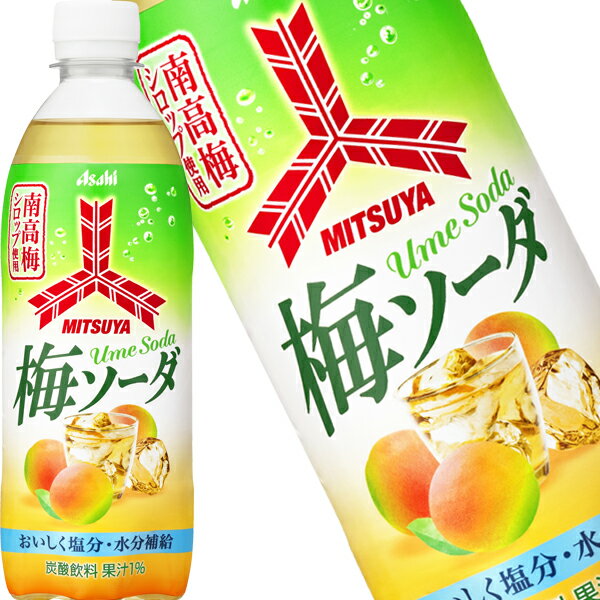 【商品説明】すっきり爽やかな梅ソーダで、無理なくおいしく熱中症対策。 素材にこだわり、南高梅シロップと南高梅果汁を使用した本格的な梅ソーダ。 梅のおいしさを楽しみながら、熱中症対策による体調管理ができます。【原材料名】砂糖類（果糖ぶどう糖液...