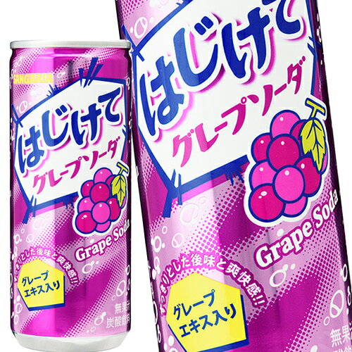 【商品説明】・すっきりとした後味と爽快感をお楽しみいただける、グレープエキス入りの炭酸飲料です。【原材料名】果糖ぶどう糖液糖(国内製造)、グレープエキス／炭酸、酸味料、カラメル色素、香料、アントシアニン色素【栄養成分】エネルギー 45kca...