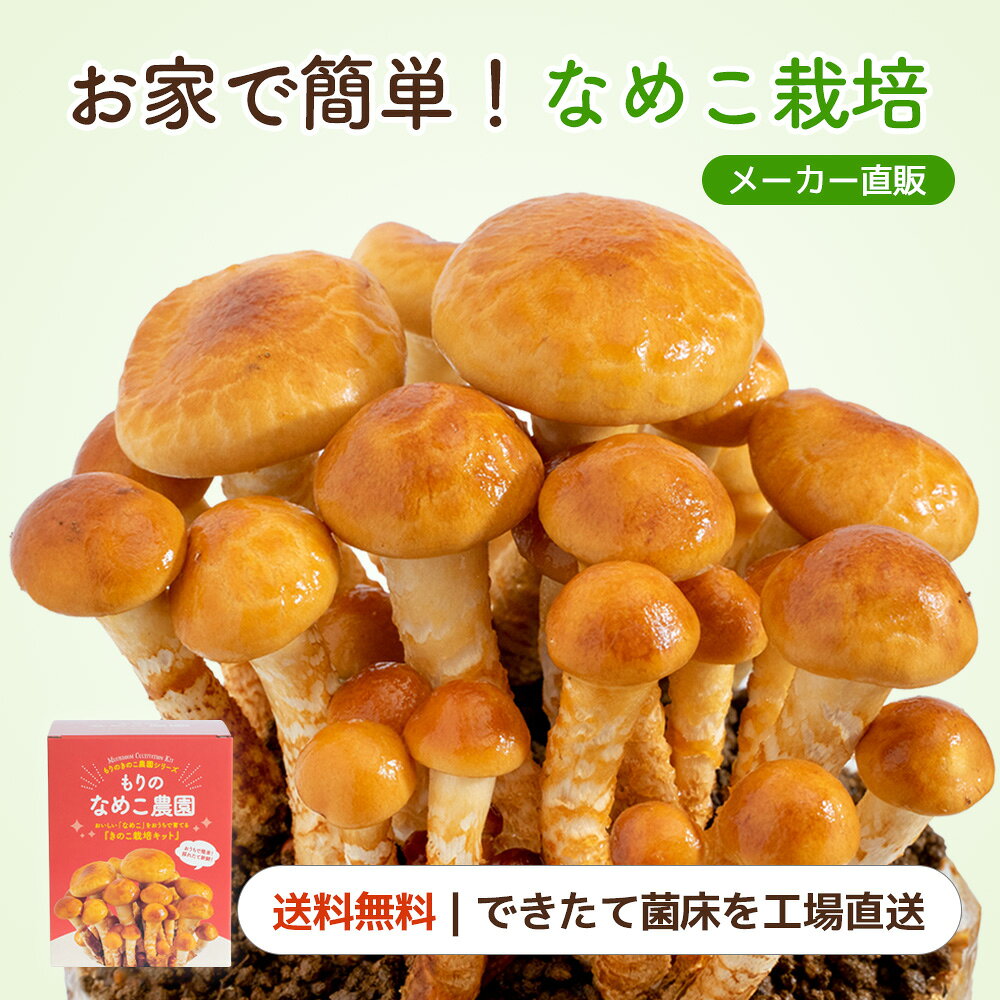 商品詳細 名称 もりのなめこ農園 内容 栽培ブロック(菌床)、栽培説明書、保温保湿用ポリ袋、赤玉土 ブロックサイズ 直径約13センチ×縦約17センチ ブロック重量 約1.5Kg 原材料 主原料：国産広葉樹オガ副原料：栄養体(食品用穀物粕・飼...