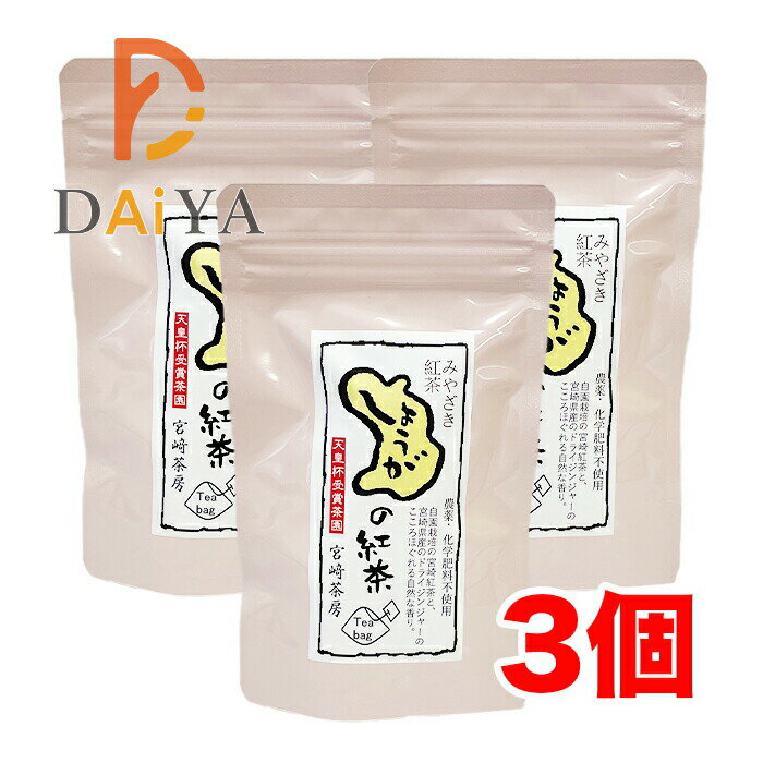 名称：生姜紅茶ティーバッグ 原材料名：紅茶、生姜 原料原産地名：宮崎県五ヶ瀬町 内容量：1袋 3g×12 製造者：株式会社宮崎茶房 《飲み方》カップに1包を入れ、沸かしたての熱湯で2分30秒-3分程浸出してください。 リニューアルに伴い、パ...