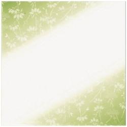 無蛍光和紙を使用し、油がにじみにくい耐油懐敷です。長時間経過しても油がにじみにくいため、後片付けが簡単です。竹笹柄で、100枚入りです。大豆インクを使用していますが、食用色素ではないため、直接料理を盛り付ける際は絵柄を避けてください。油がに...