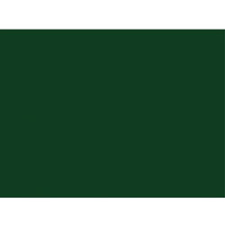 ■暗線入りで書きやすく、文字も綺麗に消せます。■現場写真が撮りやすく、鮮明な読み取りが可能です。【用途】・現場記録、写真撮影用の黒板に。【仕様】・縦（mm）： 450・横（mm）： 600・表示内容： 無地・暗線入・緑色板面・印刷： 無地・...