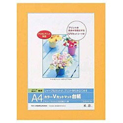 ■プリントの色あせを防止するUVカットシート付き。■スタンド・壁掛け兼用タイプでシャープなカットがプリントを引き立てます。本体サイズ(H×W×D) mm【外寸】タテ341×ヨコ254×厚み4mmその他サイズ 1(H×W×D) mm【内寸】タ...