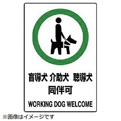 ■摘要：粘着シール■寸法(mm)：150×100■内容：盲導犬 介助犬 聴導犬 同伴可 WORKING DOG WELCOME■内容：盲導犬 介助犬 聴導犬 同伴可 WORKING DOG WELCOME■寸法(mm)：150×100■5枚...