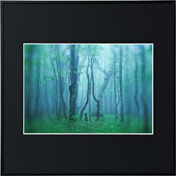 写真展で定番な作品額。フォーマルな場所にも最適です。シンプルなフレームと厚手Vカット台紙が作品を際立たせ、ゆったりと作品を鑑賞できます。対応サイズA4スクエア本体重量1050g額縁外寸392×392額縁内寸200×287作品を奥深い印象に演...