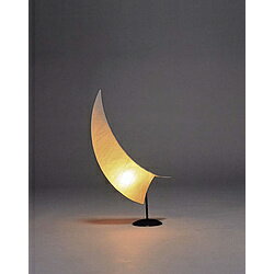 ■手漉き薄葉紙■LED電球40W型(E17)×1灯 ※白熱球使用不可■W37cm×H66cm×D14cm■糸鉄(黒)■中間スイッチ式■手作り商品のため、色・柄等は多少異なる場合がございます。サイズW37×H66×D14cm光源色電球色USB...