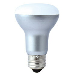 口金：E26サイズ：φ63×97mm質量：61g定格入力電圧：100V定格消費電力：5.8W配光角度：120度光源色：電球色色温度：2700K全光束：450lm最大光度：140cd平均演色評価数：Ra80定格寿命：40000h断熱材施工器具...
