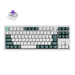 Keychron Q3 HEは、ワイヤレス対応のQMKカスタムキーボードで、80％ TKLレイアウトを採用し、ホールエフェクトGateron 2.0マグネットスイッチを搭載しています。これらのスイッチは独自のメカニズムにより、より高速なフィ...