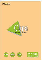 ”両面印刷も可能な厚み”カラーペーパー。【厚口・オレンジ】（A4サイズ・100枚）■ 両面印刷も可能な厚み■ 提出用企画書類、両面印刷資料などに最適！※ 商品画像の色は現物と近くなるよう作成しておりますが、お使いのモニタの設定により、違って...