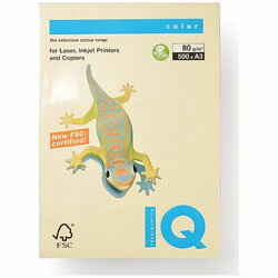 両面印刷対応の高品質中性紙。洗練されたヨーロピアンカラーの色調は強いインパクトと心に残る印象を与えます。特に招待状やチラシ作成等にお奨めです。【注意事項】マルチファンクションペーパーですが、インクジェットの場合、インクジェット専用紙よりパフ...