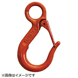 ■今までのフックでは挿入できなかった小さな穴に挿入し吊り上げることができます。■0.63tタイプはアイボルトM6～M20に、1.25tタイプはM8～M27まで対応可能です。【用途】・通常の吊りフックとして。・機械や金型などの吊り上げに最適。...
