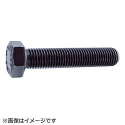 ■合金鋼に熱処理を施し強度を高くしてあります。■メッキ処理は行っていません。【仕様】・寸法（mm）d： M6・寸法（mm）L： 15・強度区分： 10.9合金鋼に熱処理を施し強度を高くしてあります。