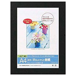 ■プリントの色あせを防止するUVカットシート付き。■スタンド・壁掛け兼用タイプでシャープなカットがプリントを引き立てます。本体サイズ(H×W×D) mm【外寸】タテ341×ヨコ254×厚み4mmその他サイズ 1(H×W×D) mm【内寸】タ...