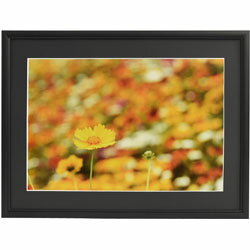 フレーム素材：アルミ厚さ約1.0mmVカットマット台紙前面板：透明PET板、厚さ約1mm吊紐付き対応サイズA3本体重量820g額縁外寸492×369mm額縁内寸461×338mm付属品吊紐仕様1額縁外寸：492×369mm、額縁内寸：461...