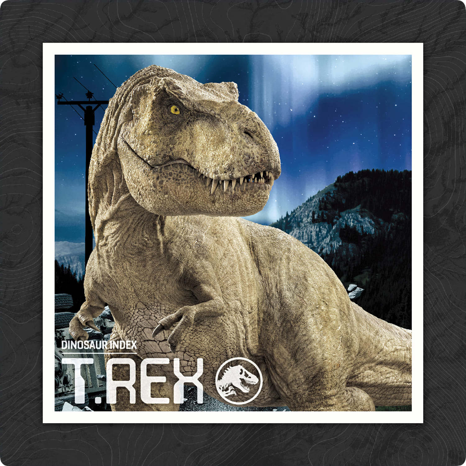 「ジュラシック・ワールド／新たなる支配者」のチェンジングステッカーです。見る角度によって絵柄が変わります！H10×W10cm様々なかたちに切り抜かれたダイカットステッカー。(c) Universal City Studios LLC and...