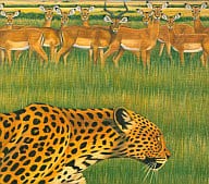 「 Zoo （デジパック仕様）」 Fantastic Plastic Machine 1 Never Ever 2 You 3 Why Not? (Tahiti 80 Remix) 4 Euphoria (Mondo Grosso Re-m...