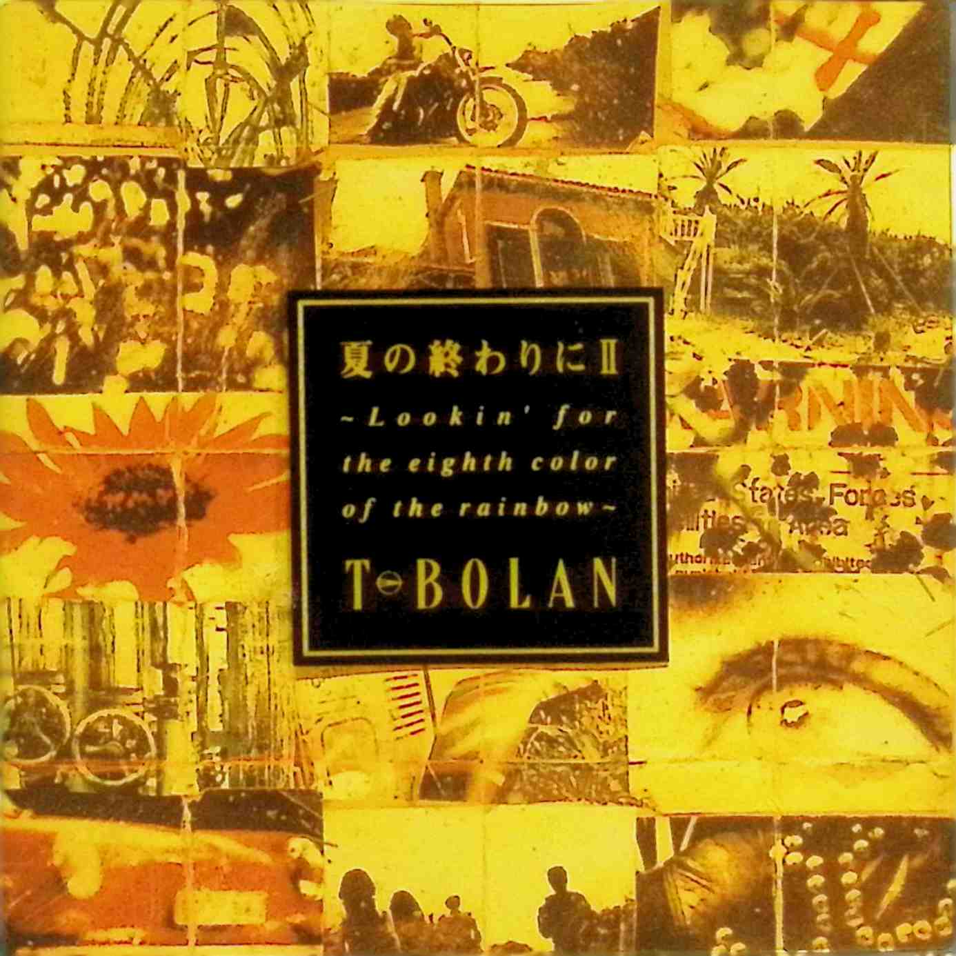 「 夏の終わりにII」 T-BOLAN 1 悲しみが痛いよ~Acoustic Version~ 2 泥だらけのエピローグ~Acoustic Version~ 3 Lookin`for the eighth color of the rain...