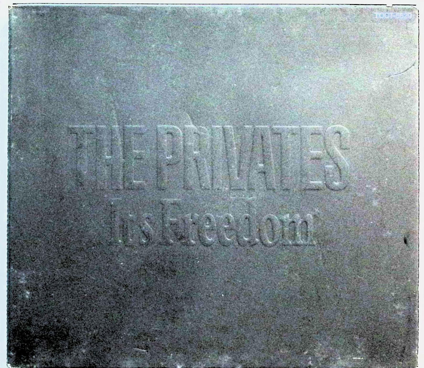 「 It’s Freedom（スリーブケース付）」 THE PRIVATES 1. Get Freedom 2. 一人ぼっちのバラード 3. EMPTY DAYS 4. 運のない男 5. ルーディーきどり 6. GAKKO STOMP 7....