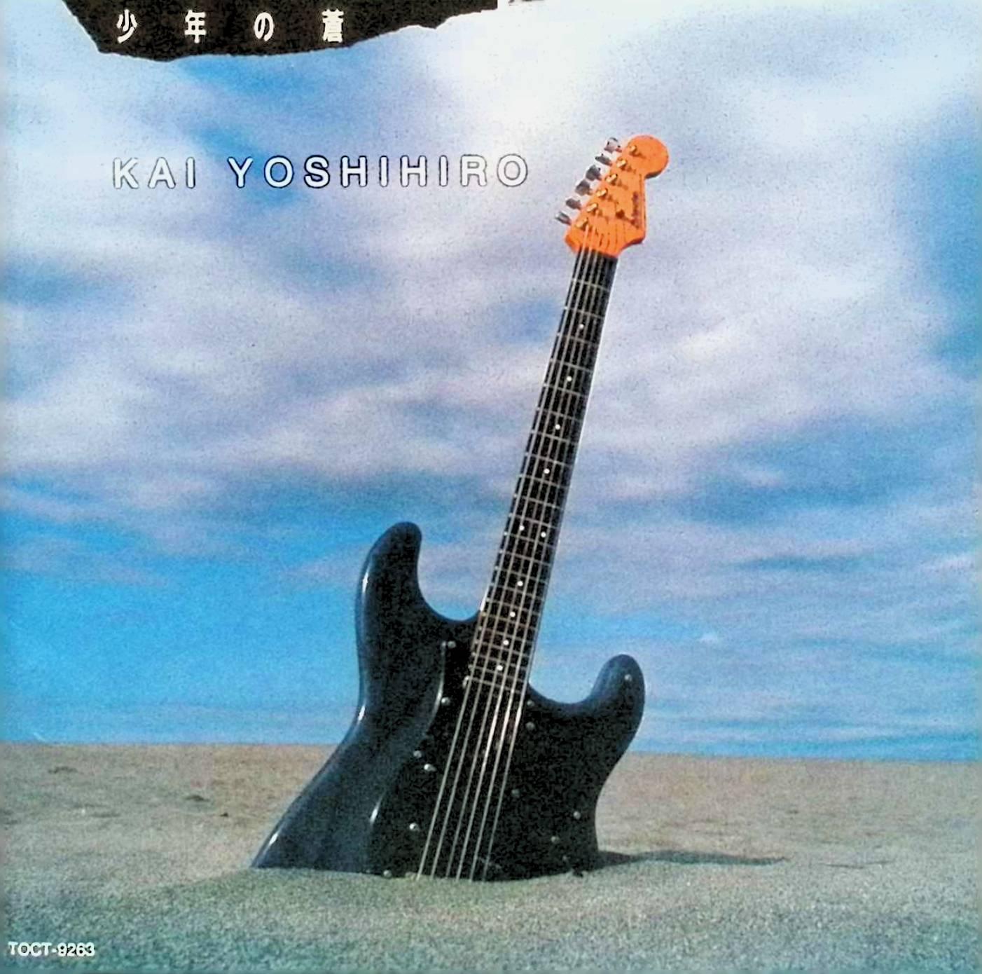 「 少年の蒼」 甲斐よしひろ 収録曲リスト 1. 破れたハートを売り物に (SPECIAL EDIT '95) 2. 裏切りの街角 3. 漂泊者（アウトロー） 4. HERO（ヒーローになる時、それは今） 5. きんぽうげ 6. BLUE ...