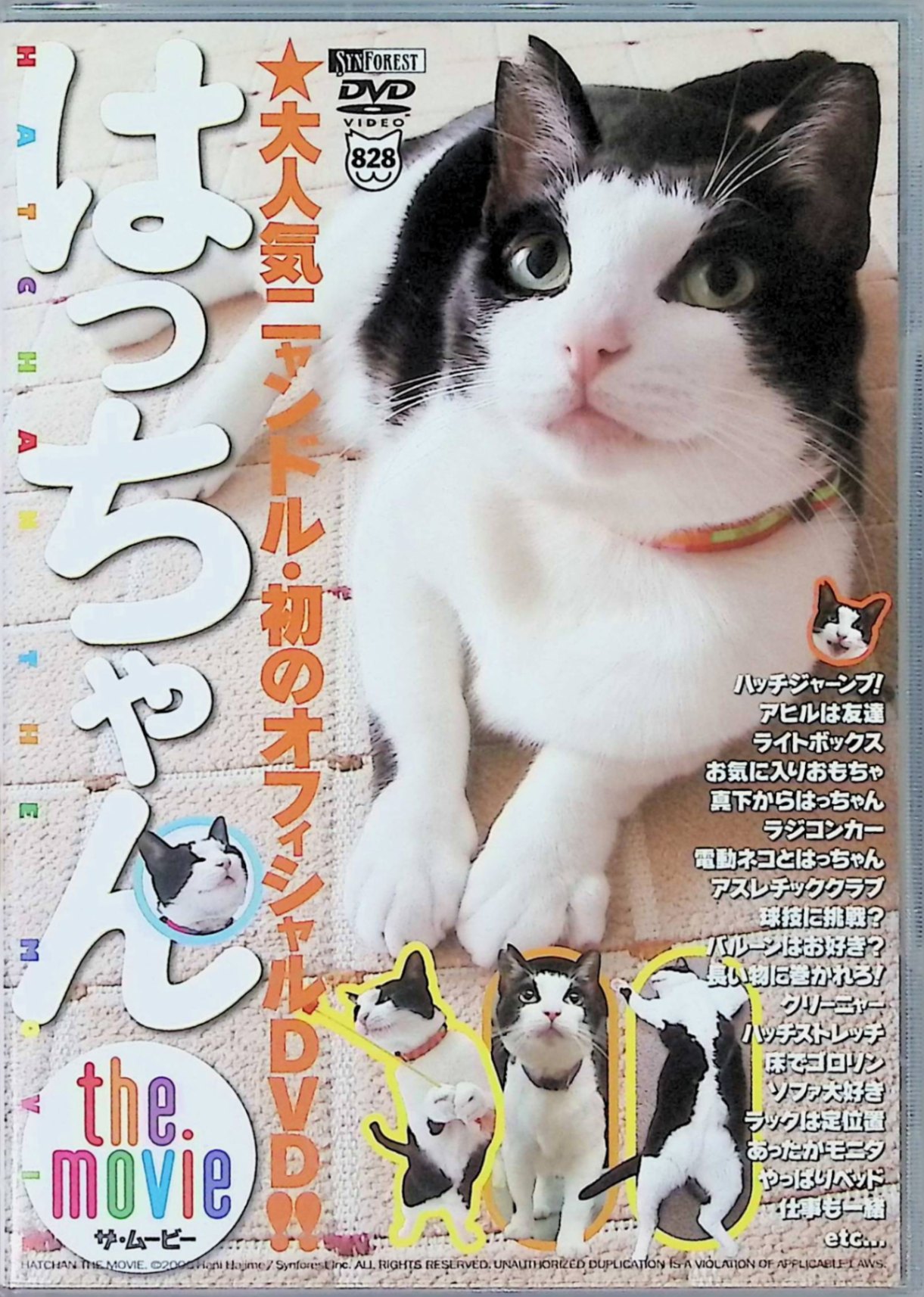 「 シンフォレストDVD はっちゃん the movie 大人気ニャンドル・初のオフィシャルDVD!!」 はっちゃん、ナレーション荒川美奈子 内容解説 人気ブログランキング猫部門1位・1日約35,000アクセスを誇ったブログ「はっちゃん日記...