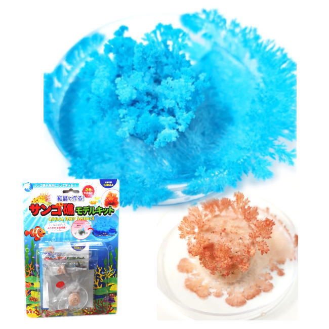 【サンゴ礁モデルキット 商品説明】 ■小学校低学年から扱える自由研究キット ■結晶を育てて作る、サンゴ礁モデルキットです ■約一日で出来上がるため、成長の様子をわかりやすく観察できます ■サンゴ礁を机の上に置いて時間と共に変化していく様子を...