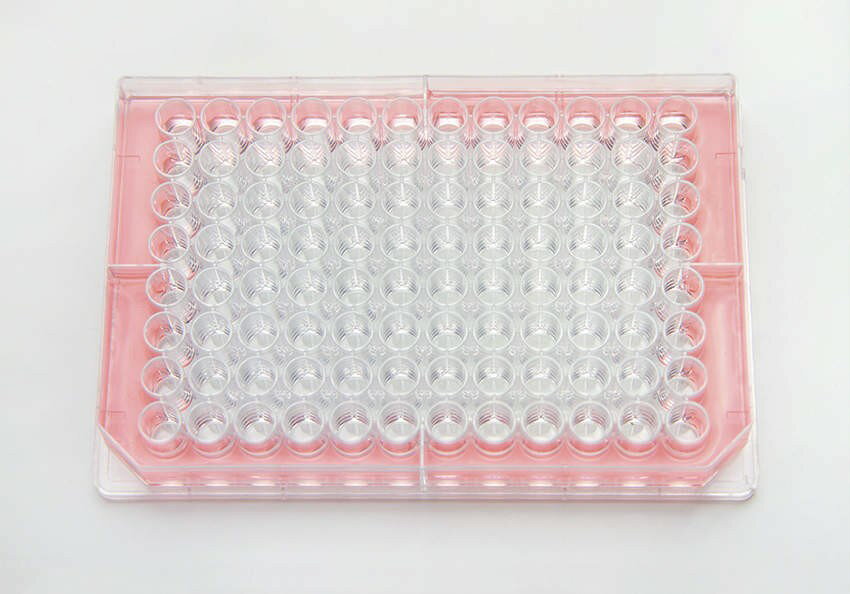 【画像はイメージです】【納期について】発送日が配送予定を超える場合は、別途メールや問合せフォームにてご相談いたします。★数量・大口割引も受付中！お問い合わせください。 ■ エッジプレート2.0 の特長 培養中にプレートの外周ウェルの培地量が...