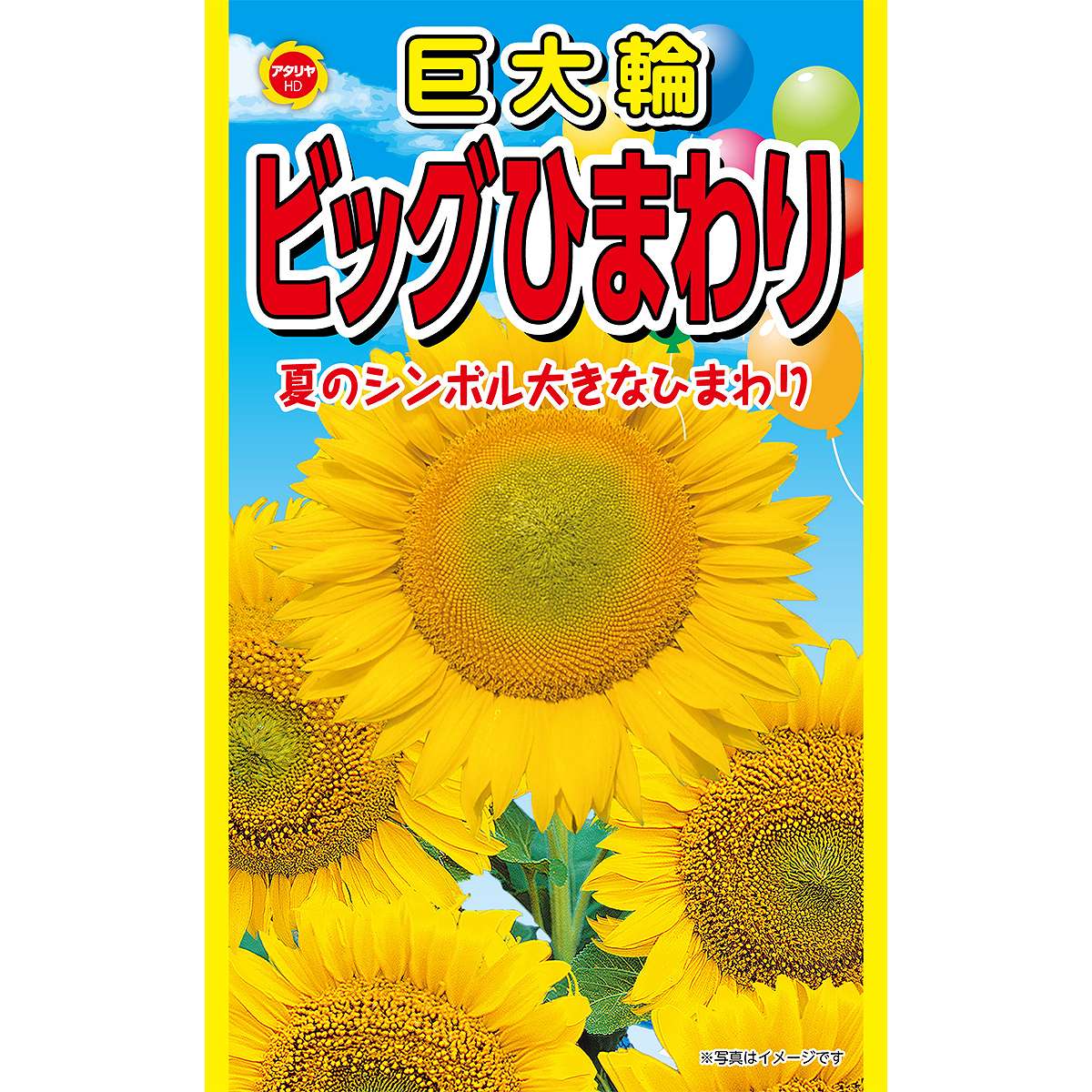 ※こちらは種子になります※在庫不足の場合メーカーより取り寄せになります。※メーカー欠品の場合、勝手ながらご注文をキャンセルまたは数量を変更させていただきます。夏のシンボル大きなひまわり草丈は230〜250cmになります。花弁と中心ともに黄色...