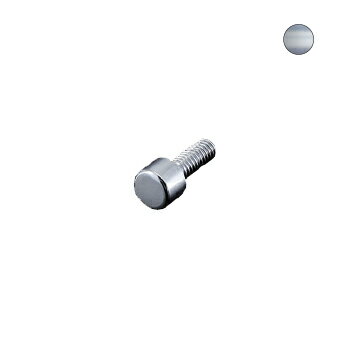 商品名 EPH 7mmユニット　化粧ボルトSS　フラットタイプ 品番 EPH-CF7SSC 材質 真鍮製 サイズ 径 ： 7mm 厚 ： 2.5mm ボルト長 ： L11mm (M4 x P0.7) 表面 クロームメッキ 付属品 この商品に...