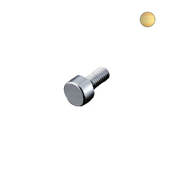 商品名 EPH 9mmユニット　化粧ボルトSS　フラットタイプ 品番 EPH-CF9SSG 材質 真鍮製 サイズ 径 ： 9mm 厚 ： 3mm ボルト長 ： L11mm (M5 x P0.8) 表面 ゴールドメッキ 付属品 この商品に付属...