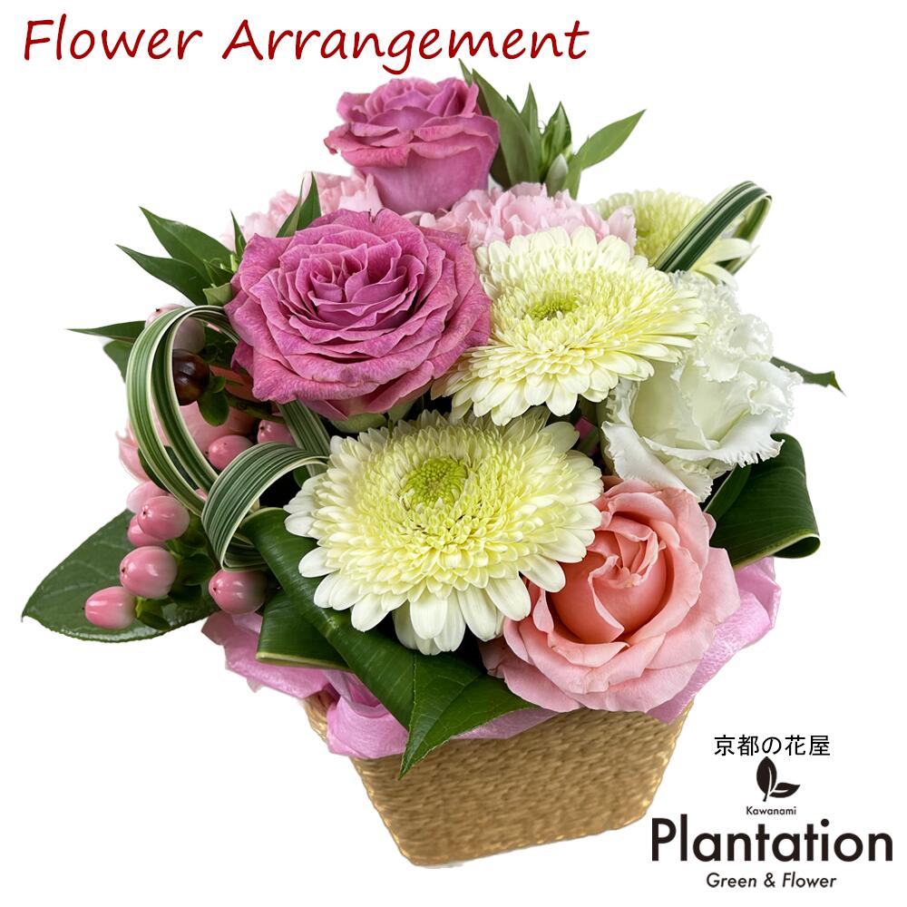 送料無料、メッセーカードも無料です。 お届けエリアを設定しております。必ずご確認ください。 京都のフラワーアーティストがつくるかわいいおまかせアレンジメント1 【注意点】 こちらの商品はおまかせ商品です。 その日、その季節のより良いお花でお...