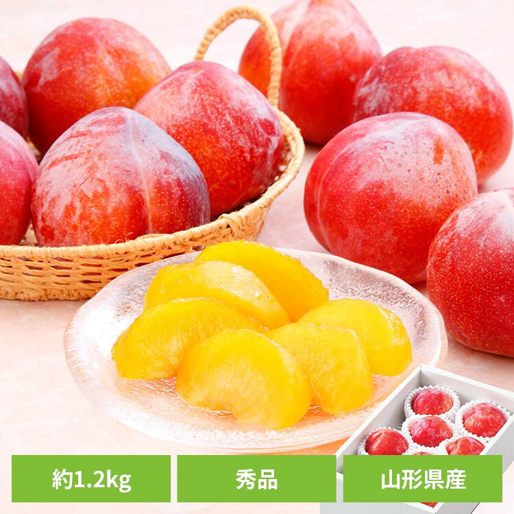 山形県で育てられた人気のプラム品種「秋姫」です。大玉で食べ応えがあり、果汁をたっぷり含んだ果肉は濃厚な甘みと爽やかな酸味が特長。熟すにつれて甘みが増し、まろやかな味わいへと変化します。ひと口頬張れば、ジューシーな果汁と豊かな風味が口いっぱい...