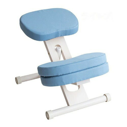 商品説明子どもが勉強していると思ったら、他のことに気を取られていたり、あまり進んでなかったり…「うちの子って集中力がないのかな？」と思うことありませんか？ プロポーションチェア(R)なら座るだけで集中力が高まります。 ※香川大学創造工学部で...