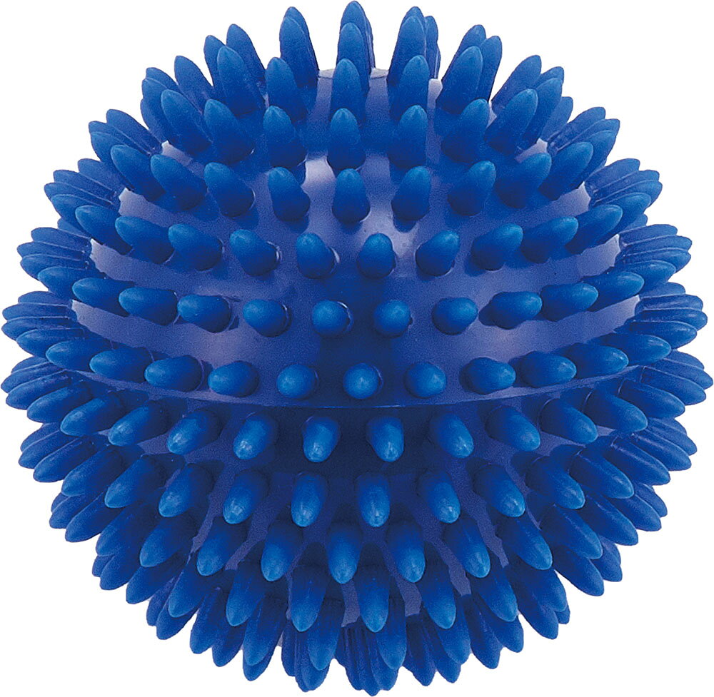 材質:PVC サイズ:直径9cm 重量:100g カラー:ブルー 原産国:台湾 原産国: 台湾毛足が長めのソフトタイプで、マッサージ、血行促進効果も得られて楽しいボールです。