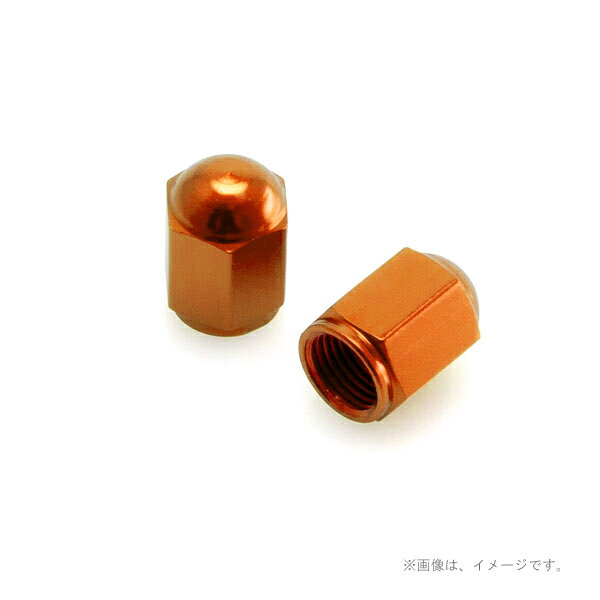 【品名】 アルミエアバルブキャップ 【品番】 D58-03-107 【特徴】 愛車の足元をクールに演出するアルミ製エアバルブキャップ。カラーアルマイト仕上げ。2個入り 【備考】 - 【HP】 メーカー：ダートフリーク 【注意】 ・基本的にお...