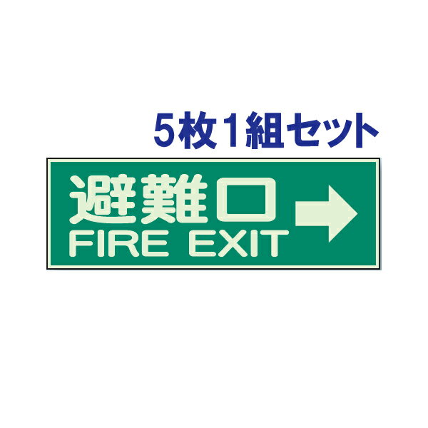 ——————————————————————————— ●サイズ：100×300×1mm厚 ●材質：蓄光板 ●両面テープ付 ———————————————————————————