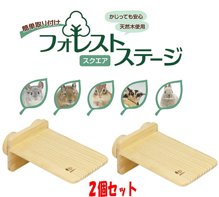 チンチラ・うさぎ・テグー・モモンガ・シマリス等上下運動を好む小動物用 フォレストステージ スクエア×2個セット 本体サイズ：W 約120 × D 約180 × H 約80（mm） 固定具2個付き 上下運動を好む小動物飼育ゲージに取り付けてご...