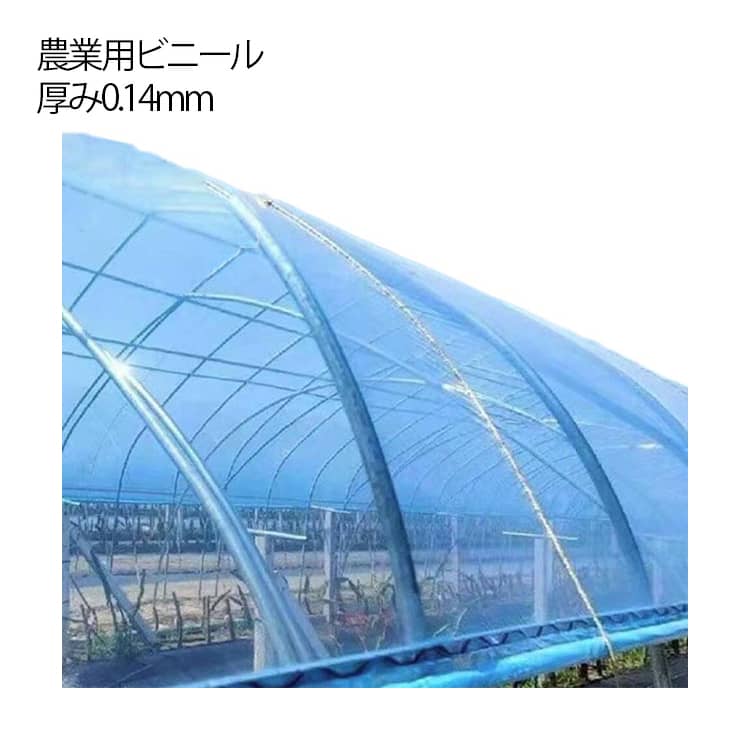 厚み0.14mm/幅6m/長さ10m透明性と保温力に優れたハウスビニール！透明性が高く、約90％の光を通します！農ビに比べ、軽くべたつきが少ないので取り扱いが楽です。農業用ビニールは、非常に弾力性に優れるので、パッカーでの固定が簡単で、しっ...