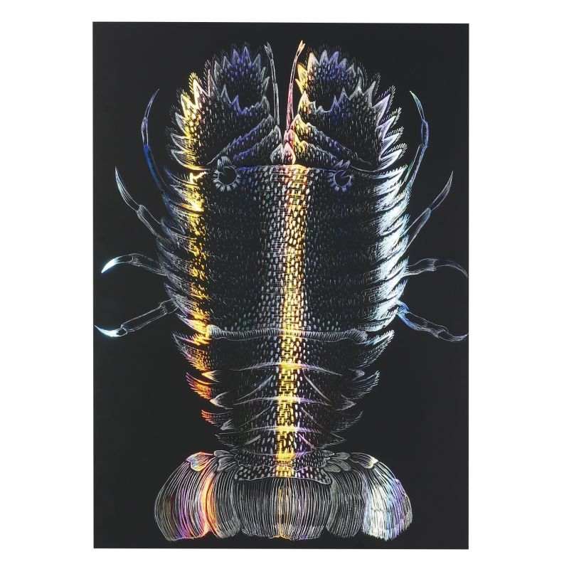 　ギフトサービスについて【メール便(ネコポス)の配送について】※こちらの商品は、6個まで[メール便(ネコポス)]での発送が可能です。※[メール便]での発送をご希望の場合は、注文確認画面にて[配送方法]を[メール便]に変更してください。[配送...